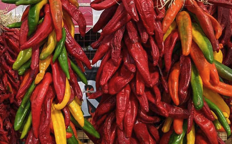 Exploring the Rich Tradition of Red Chile Ristras - USAInsiderToday